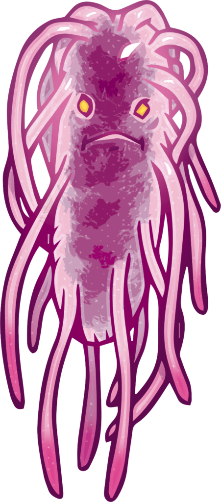 Proteus mirabilis - KrobsPRO