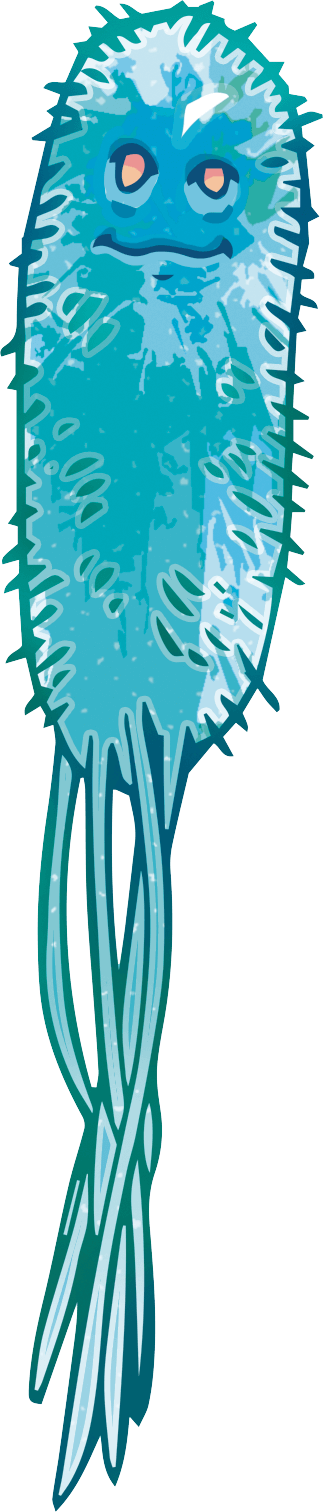 Pseudomonas aeruginosa - KrobsPRO