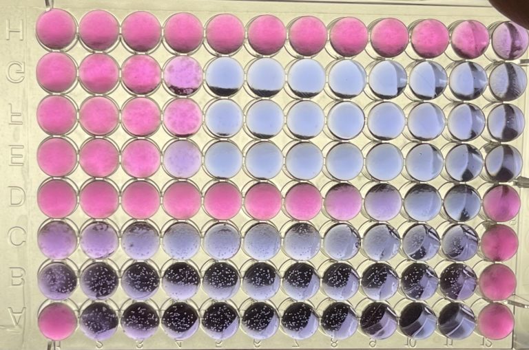 Antibiogramme/antifongigramme - KrobsPRO